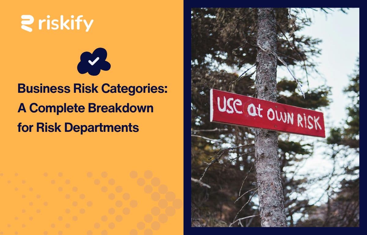 Business Risk Categories: A Complete Breakdown for Risk Departments ...